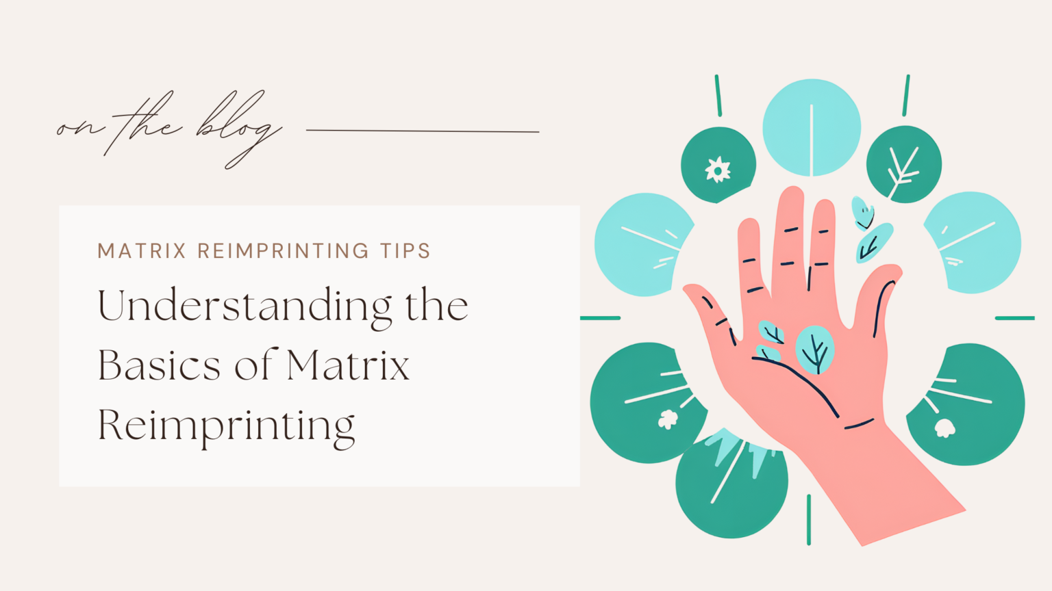 Understanding the Basics of Matrix Reimprinting - Our Magic Within